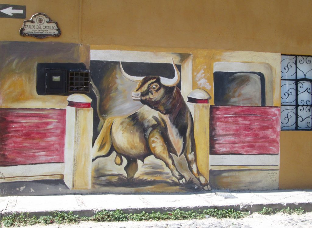 Art Everywhere | The WOW Factor: Words of Wisdom from Wise Older Women